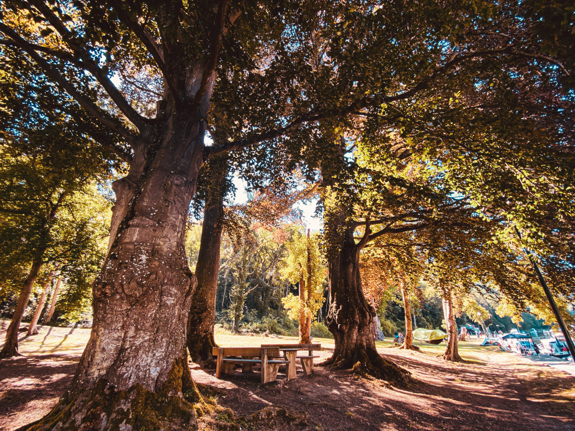 Les Rochers de Freÿr pres de Dinant - Caroline VML